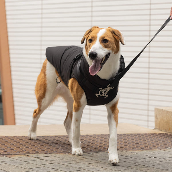 Complete Control Harness Winter Jacket – Canada Pooch