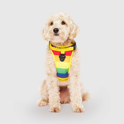 Canada pooch harness store