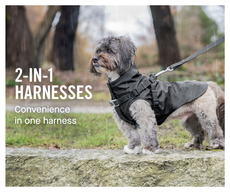 Find the Right Dog Harness | Canada Pooch