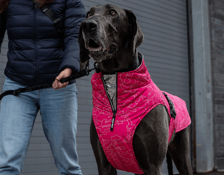 Great Dane Clothes for Dogs - Sweaters & Coats | Canada Pooch