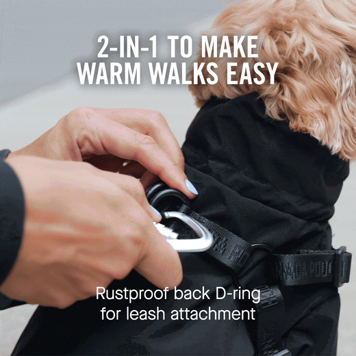 Dog Harness Snowsuit | Canada Pooch