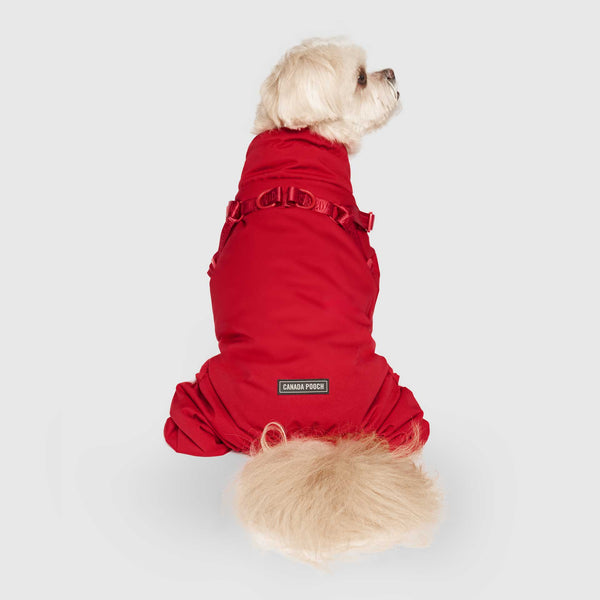 Dog Harness Snowsuit | Canada Pooch
