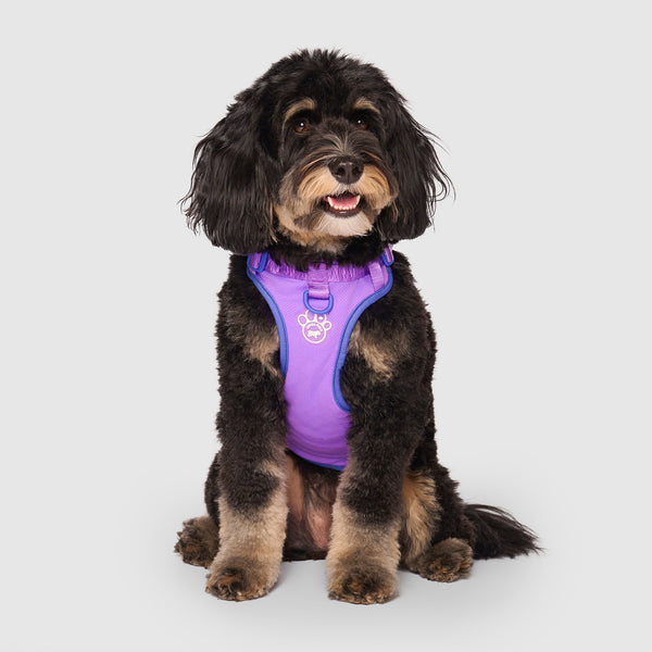 Max Chill Cooling Dog Harness | Comfortable & Breathable Dog Harness ...