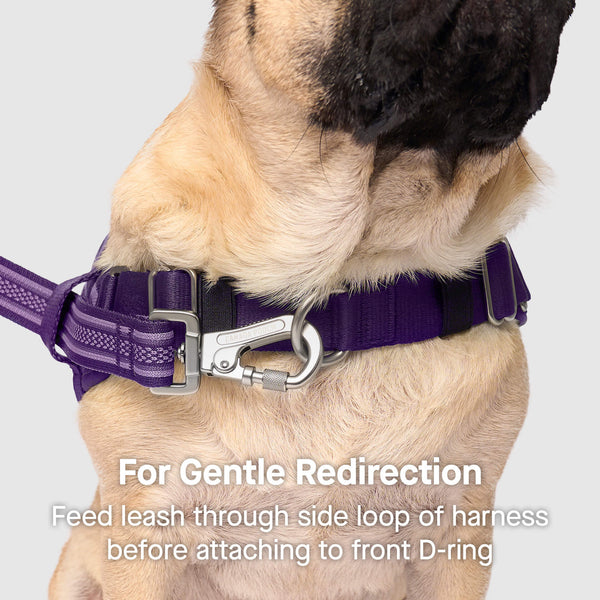 Re-Direct Dog Harness | Canada Pooch