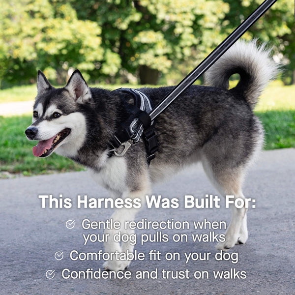 Re-Direct Dog Harness | Canada Pooch