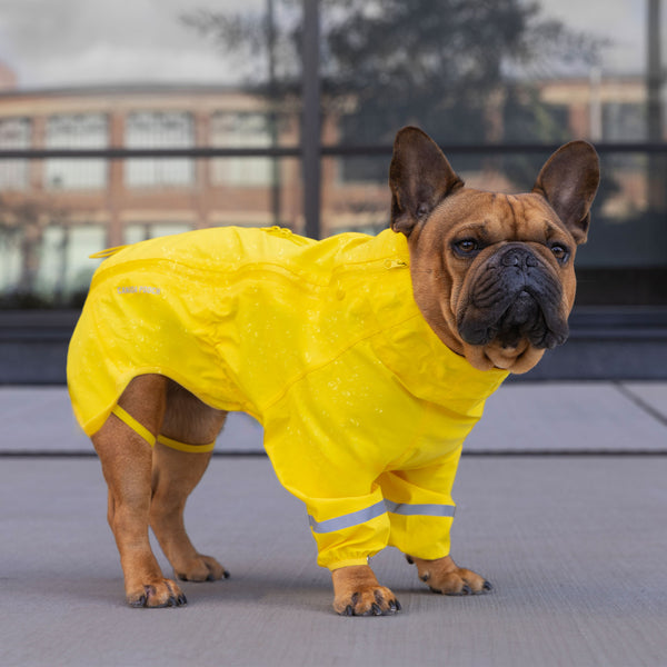 Waterproof Dog Raincoat | Canada Pooch