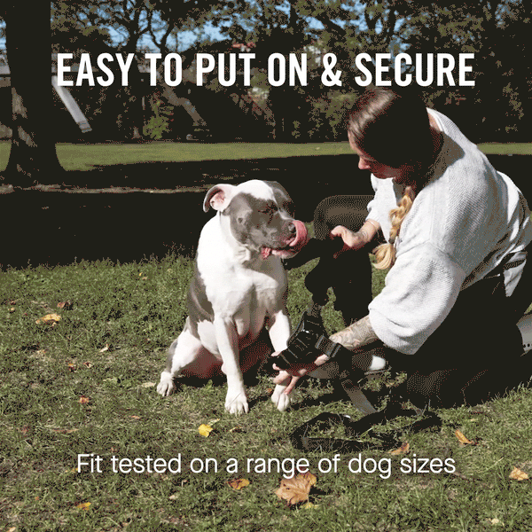 Complete Control Dog Harness for Pullers | Canada Pooch