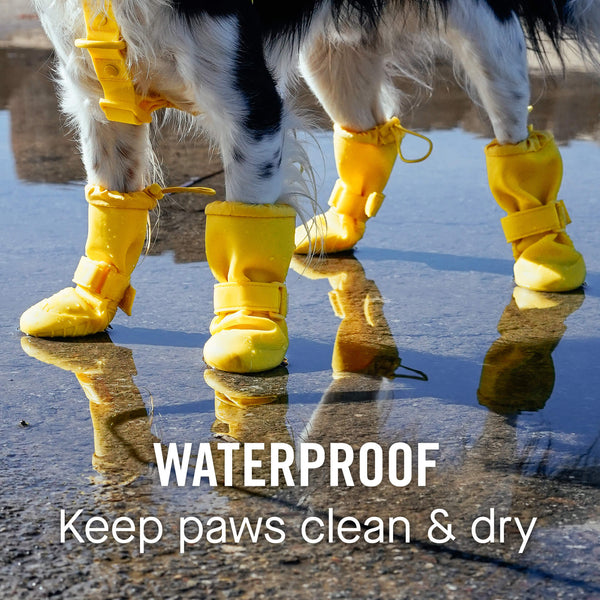 Waterproof Dog Shoes for Rain | Canada Pooch